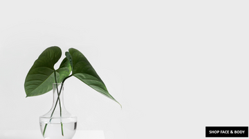 No.5 Design is a gift store with a difference. – No. 5 Design